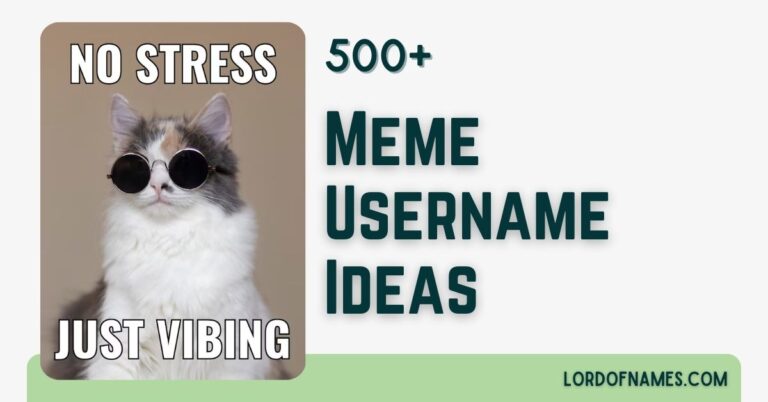 509 Best Witty and Whimsical Meme Usernames - Lord Of Names
