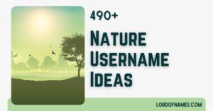499 Nature Usernames To Unleash Your Wild Spirit - Lord Of Names