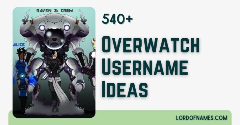 540 Best Overwatch Usernames To Stand Out On The Battlefield - Lord Of ...
