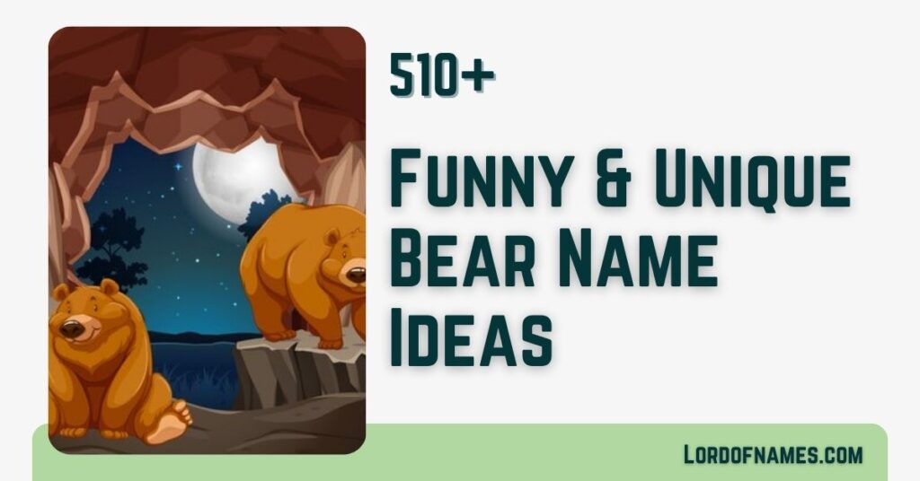 510 Funny & Unique Bear Names for Every Type of Bear